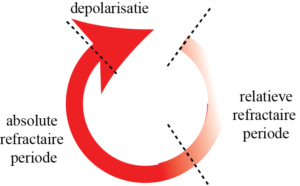B.7.3. Hart Ritmestoornissen