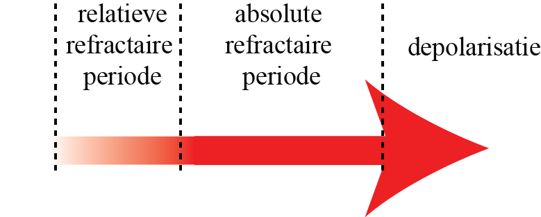 B.7.3. Hart Ritmestoornissen