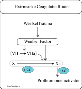D.5. Stollings Systeem